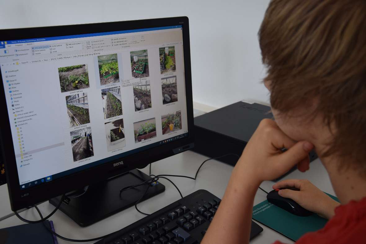 Angewandte Informatik, HBLFA Tirol Schule Forschung Service Rotholz